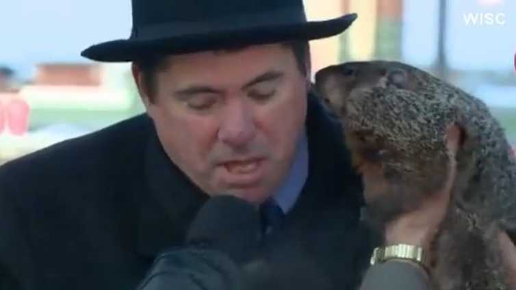 Groundhog bites mayor in Wisconsin