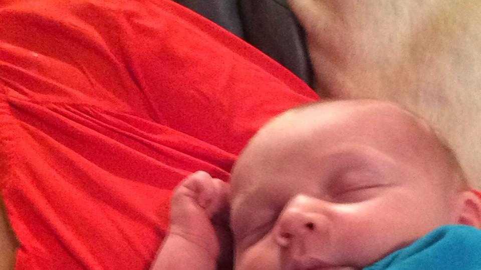 What you need to know about Baby Justice investigation