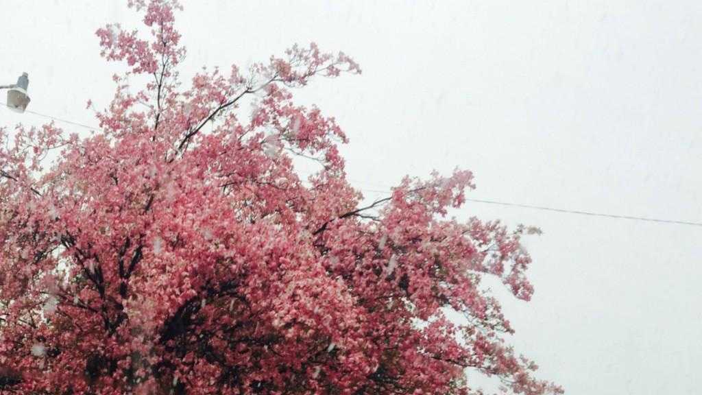 This is spring? Must-see photos of April NorCal storm