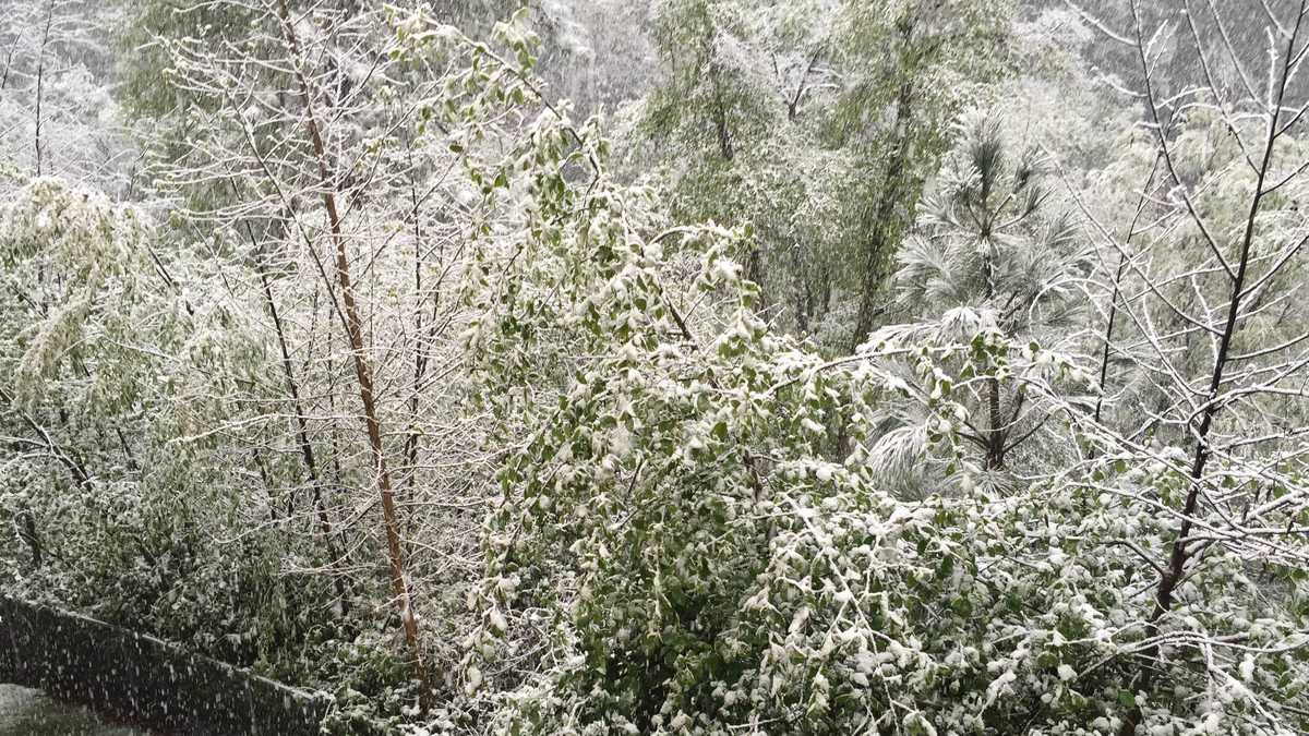 30 u local April storm photos you've got to see