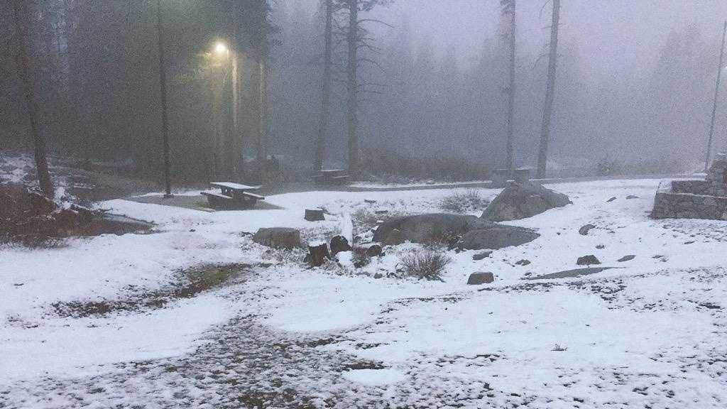 Winter is back? Snow falls in Sierra; Rain starts in Valley