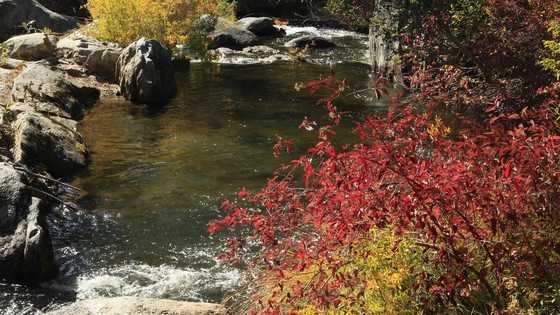 Explore the outdoors: Discover these 26 NorCal trails