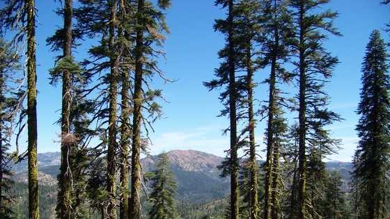 Explore the outdoors: Discover these 26 NorCal trails