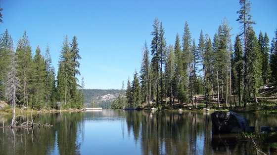 Explore the outdoors: Discover these 26 NorCal trails