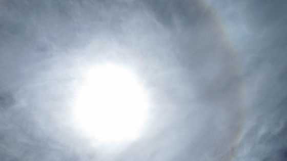 Summer's most disgusting health concerns