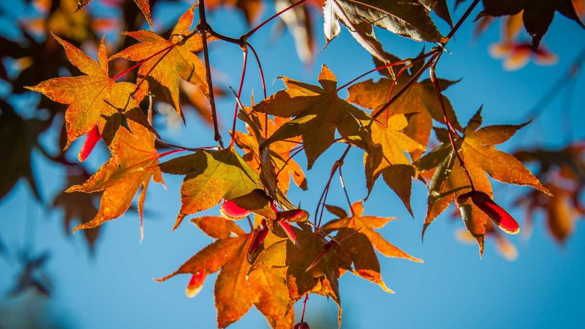 20 gorgeous photos that prove fall has arrived in California