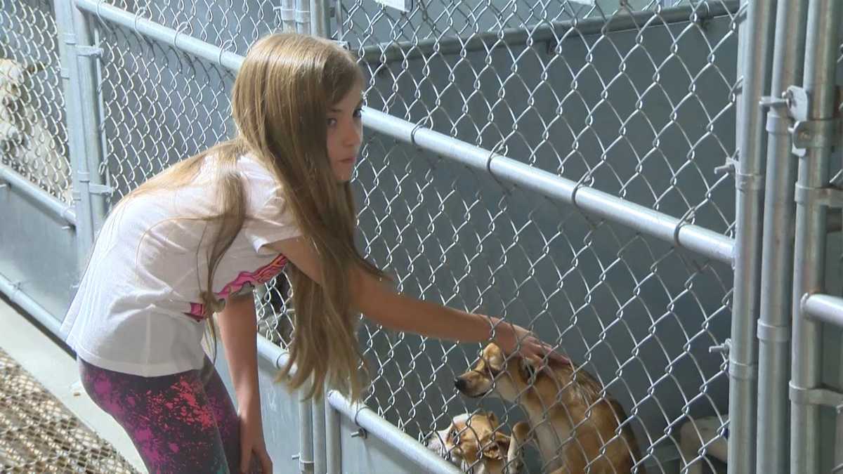 Instead of birthday presents, girl gives to Stockton animal shelter