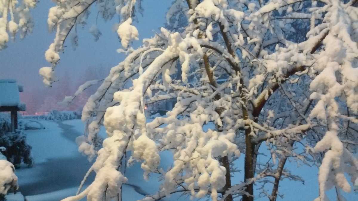 Photos show damage, effects of NorCal's March storm