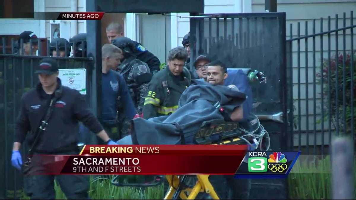 K 9 Taser Help End Downtown Swat Standoff
