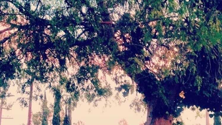 Vicki Gonzalez: 25 things you don't know about me