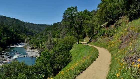 Explore the outdoors: Discover these 26 NorCal trails