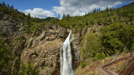 Explore the outdoors: Discover these 26 NorCal trails
