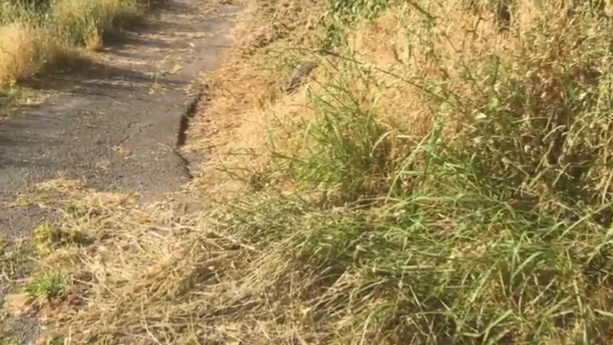 Residents: Brush at closed down golf course is fire hazard