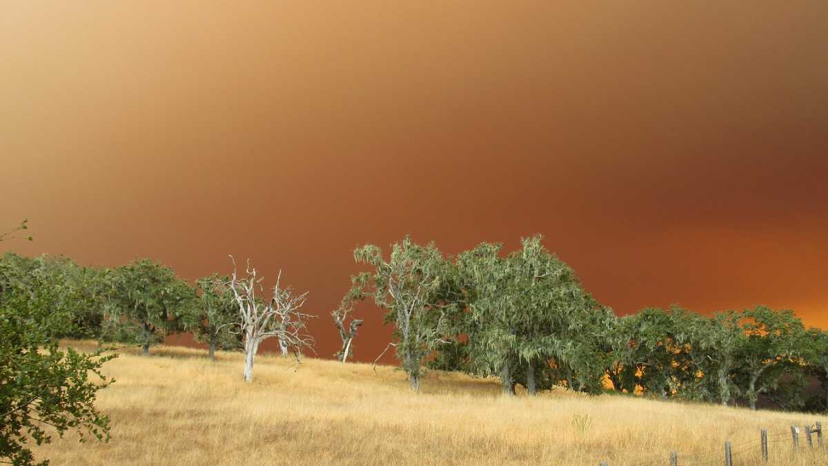 PHOTOS: Most dramatic photos of the Soberanes Fire