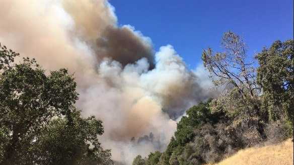 Wildfire grows to 1,500 acres in Sonoma County