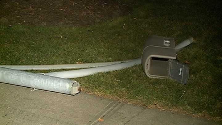 Photos: Car vs. tree crash in front yard