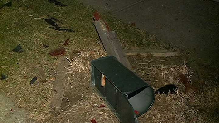 Photos: Car vs. tree crash in front yard