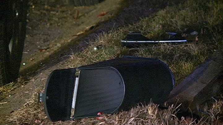 Photos: Car vs. tree crash in front yard