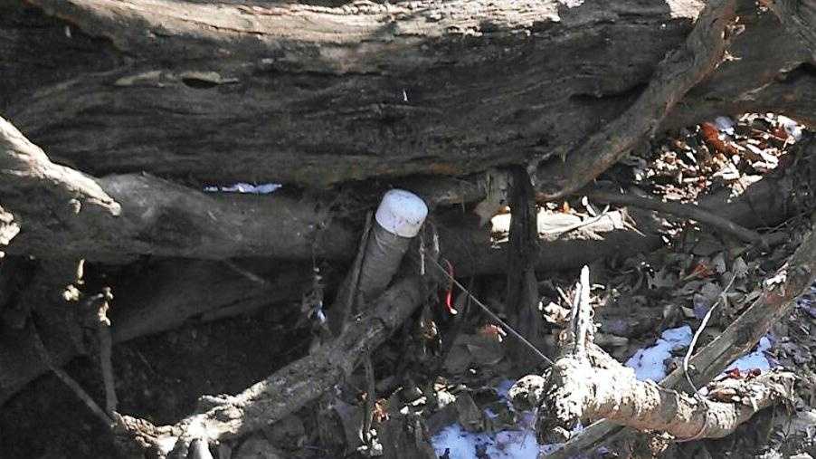 Suspicious device rendered safe