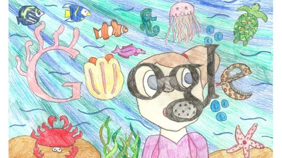 Photos: Doodle 4 Google finalists