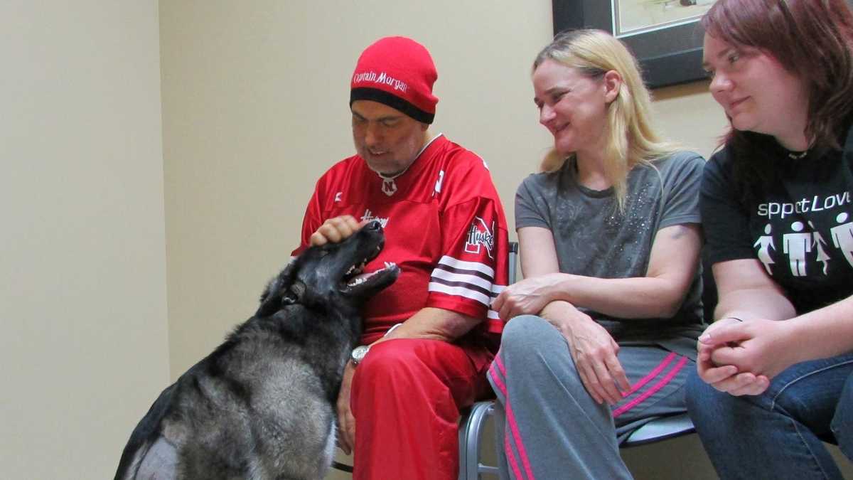 Dog shot during home invasion undergoes surgery