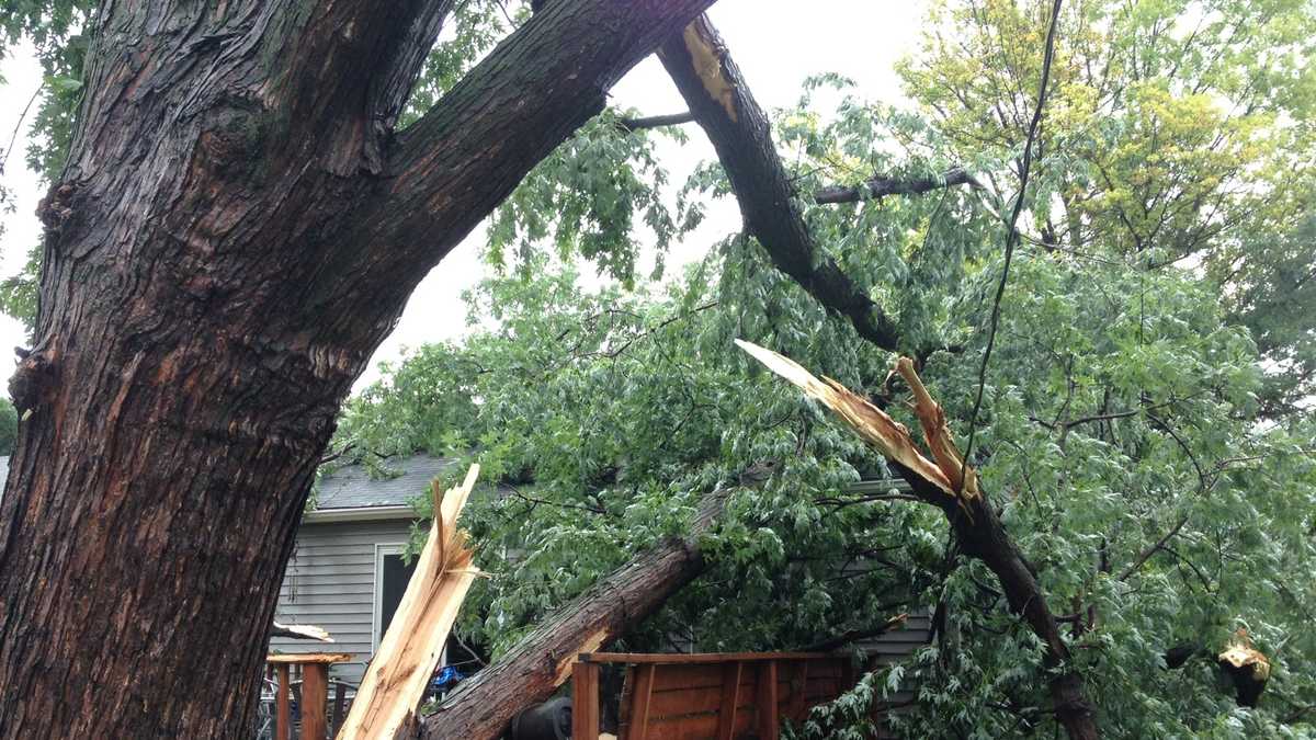 Severe weather strikes down trees in Blair