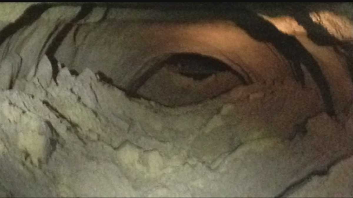 Could there be more sinkholes? Could there be more sinkholes?