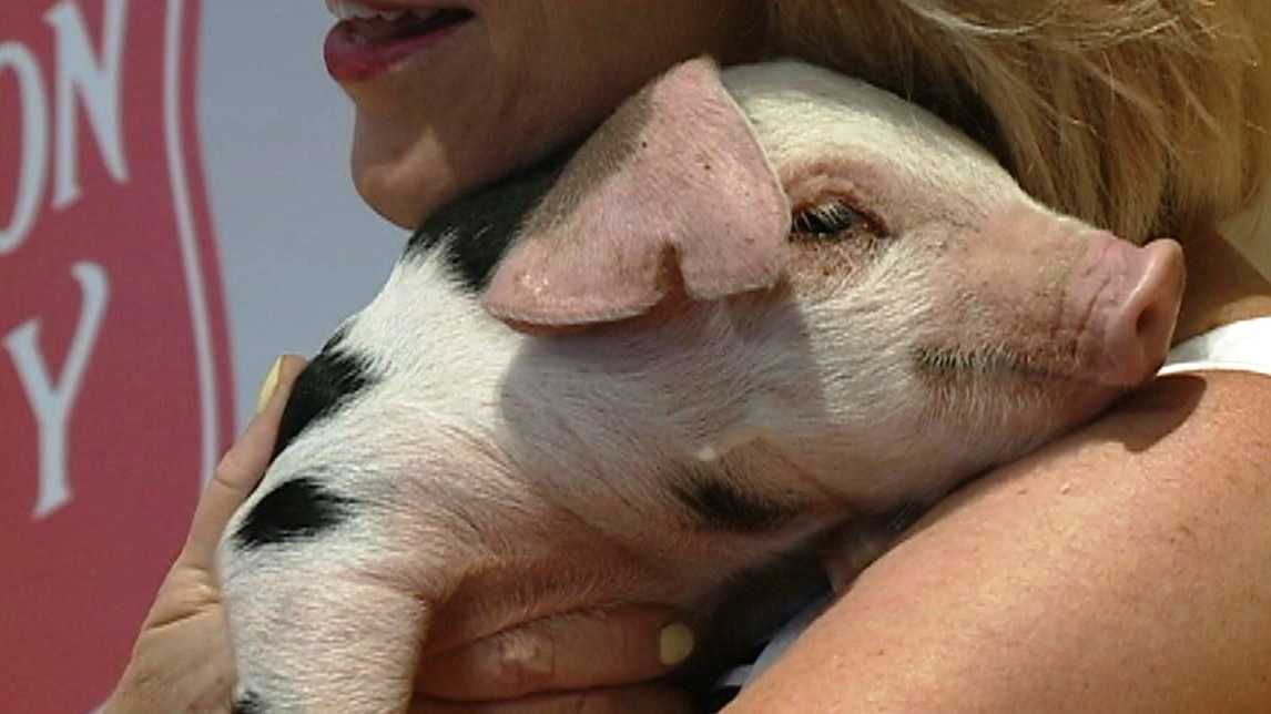 Omaha mayor pardons pig