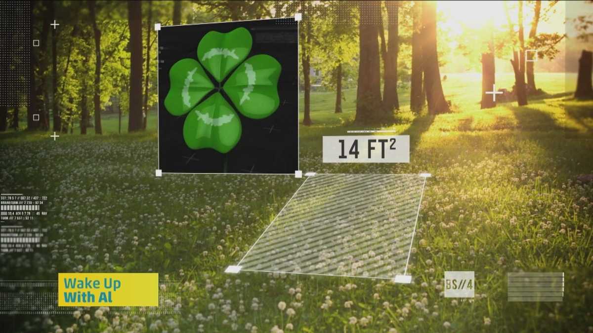 Video: The science behind the four-leaf clover!