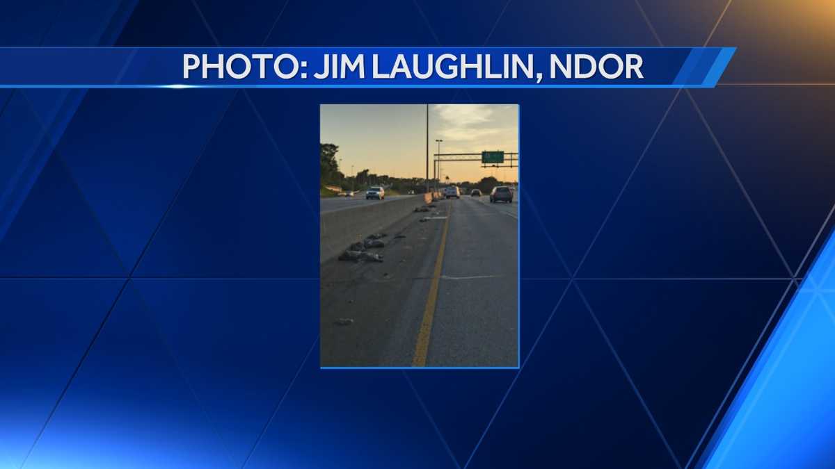 Pigs fall off truck on West Dodge, cause traffic delays
