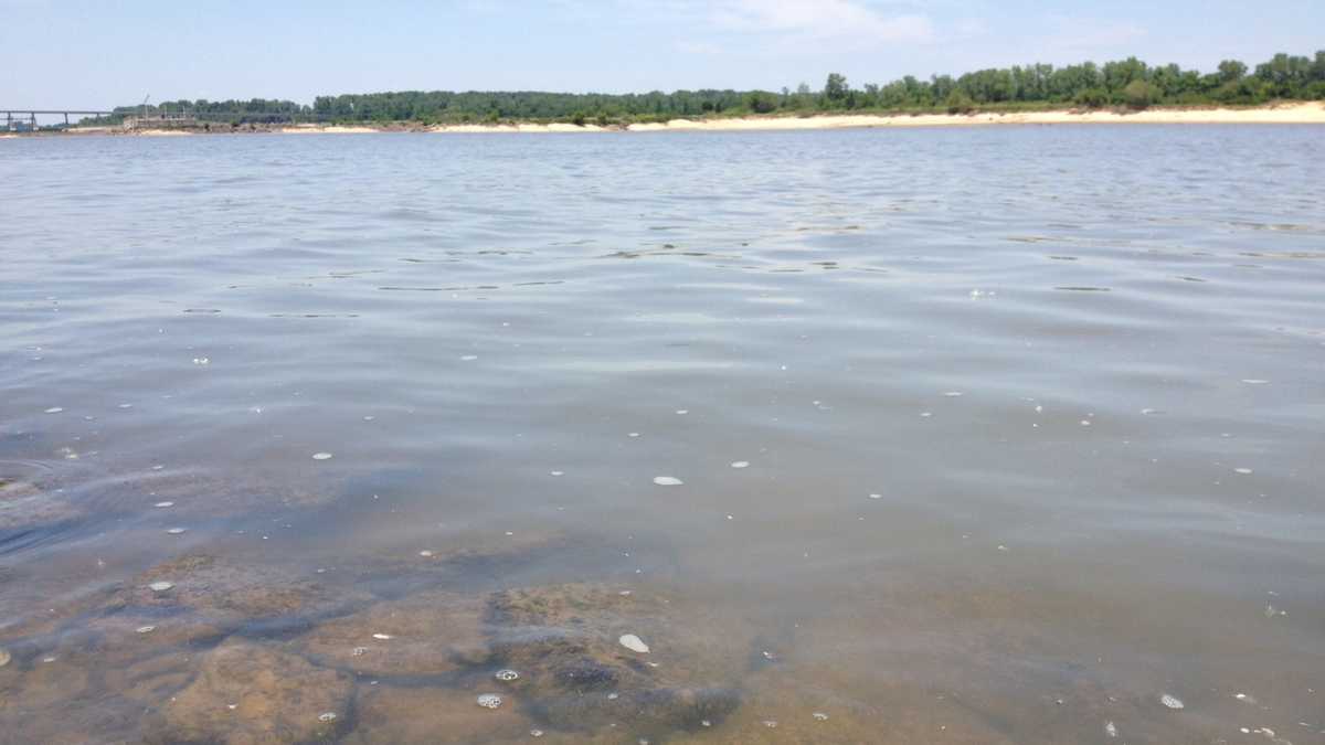 Arkansas River Lock & Dam 13