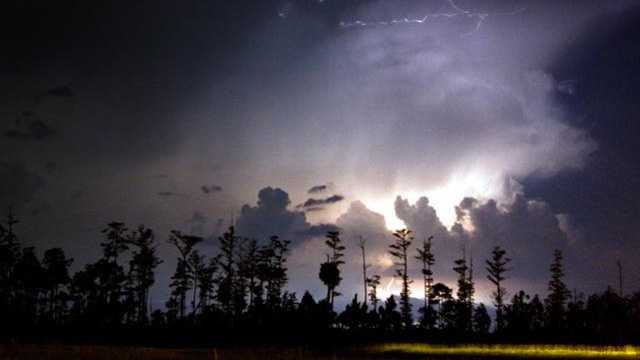 Experts: Lightning helps grass, plants grow