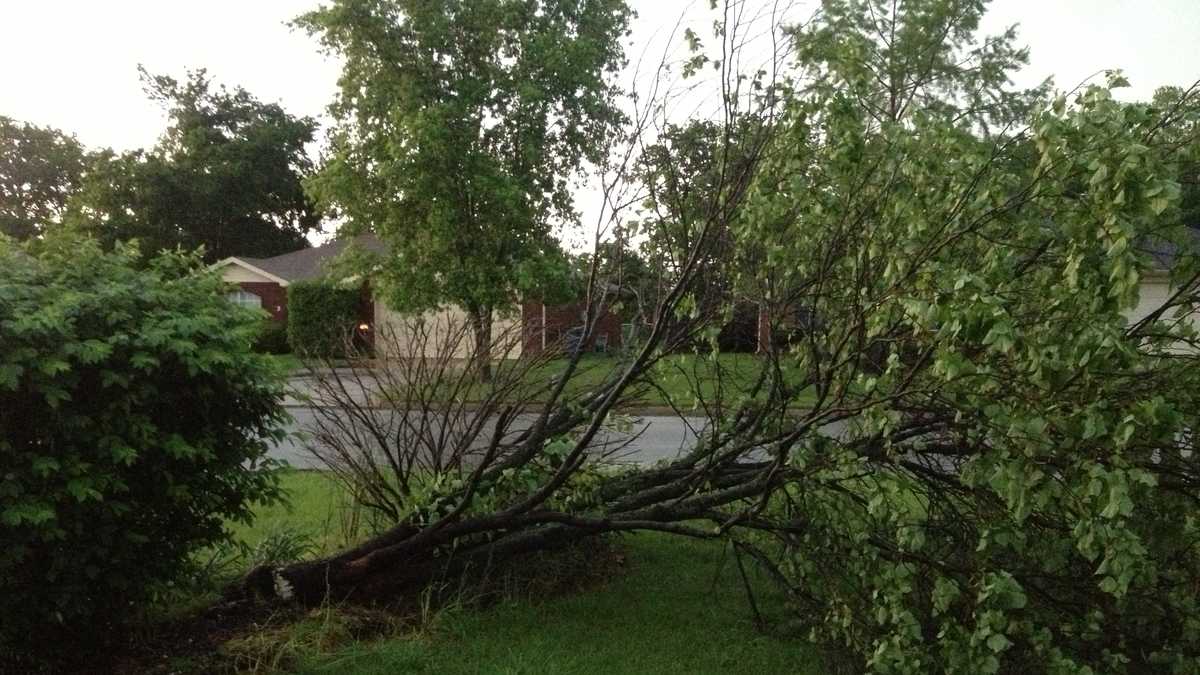 Images: Severe Weather, Wind damage