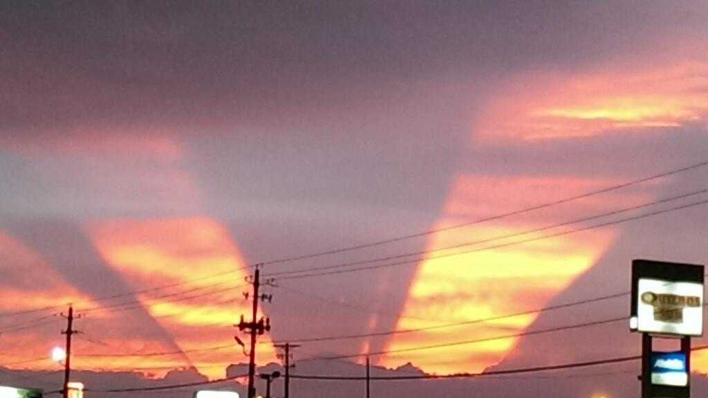 Images: Severe Weather, Wind damage