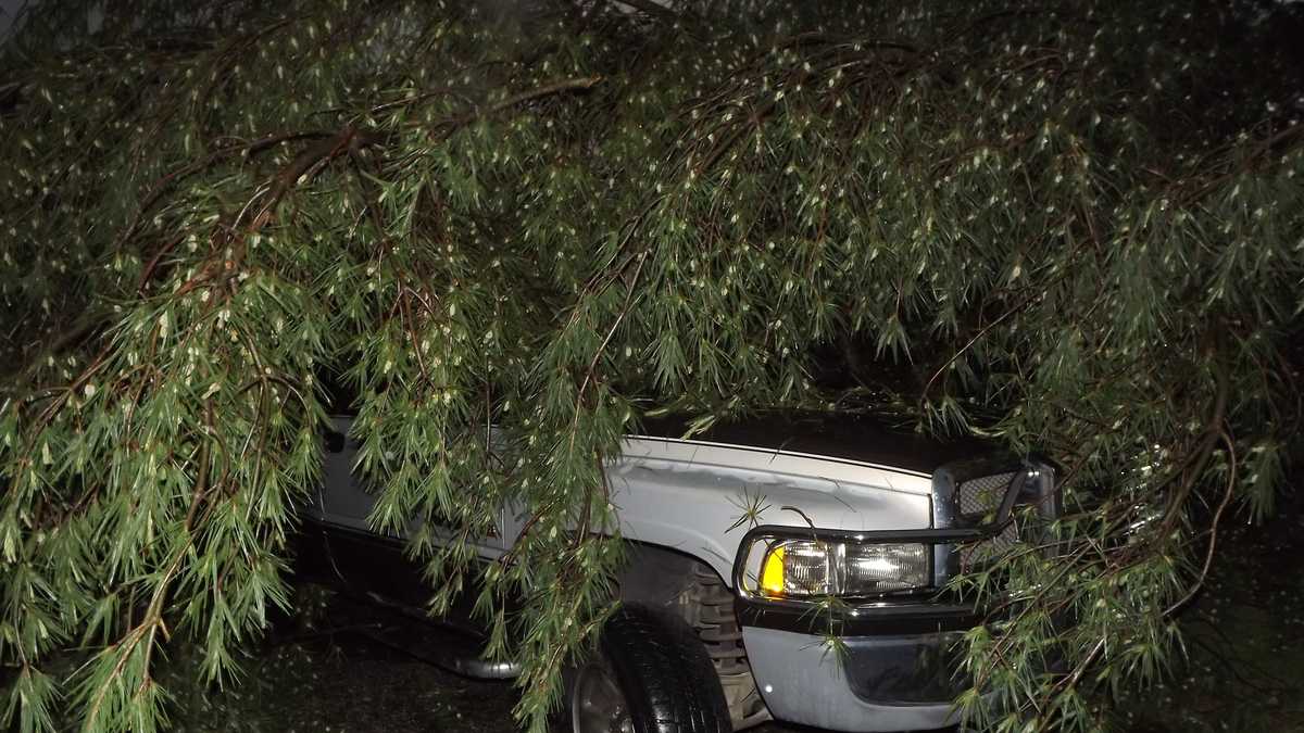 Images: Severe Weather, Wind damage