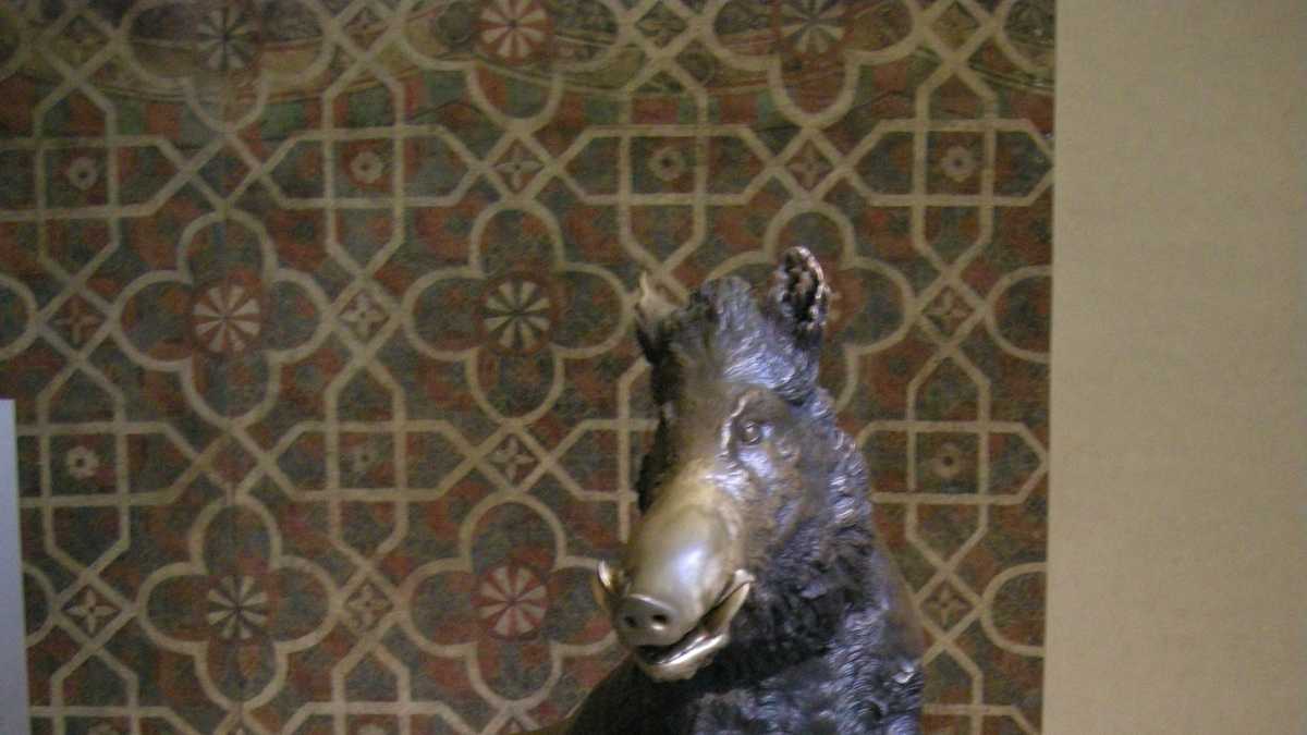 Razorbacks around the world