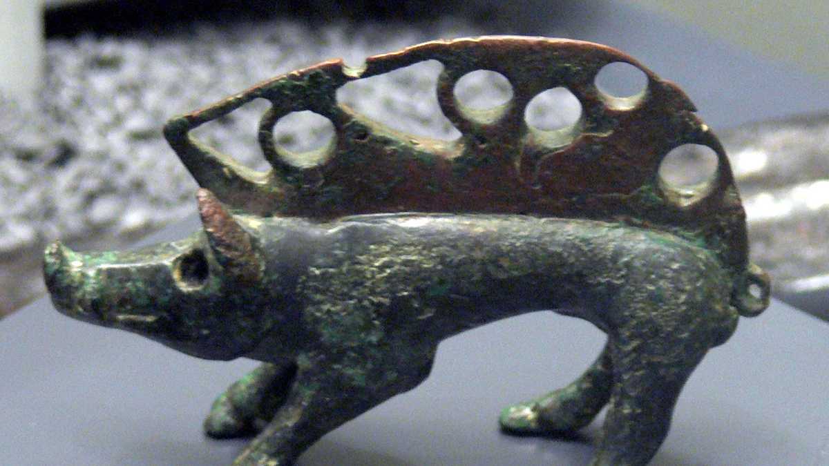 Razorbacks around the world