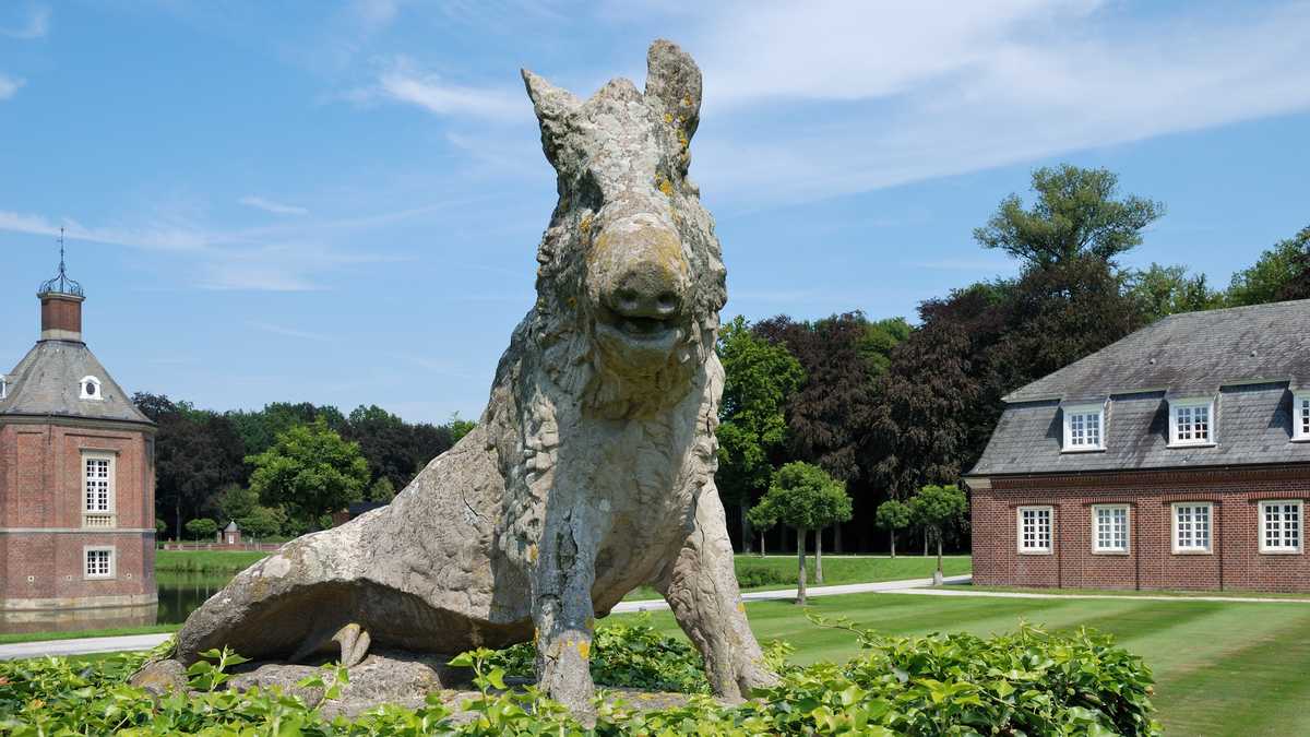 Razorbacks around the world