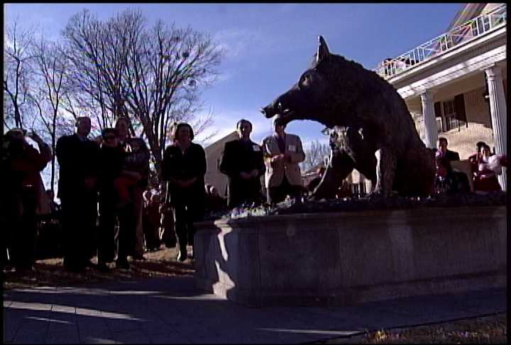 Razorbacks around the world