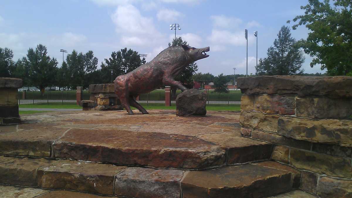 Razorbacks around the world