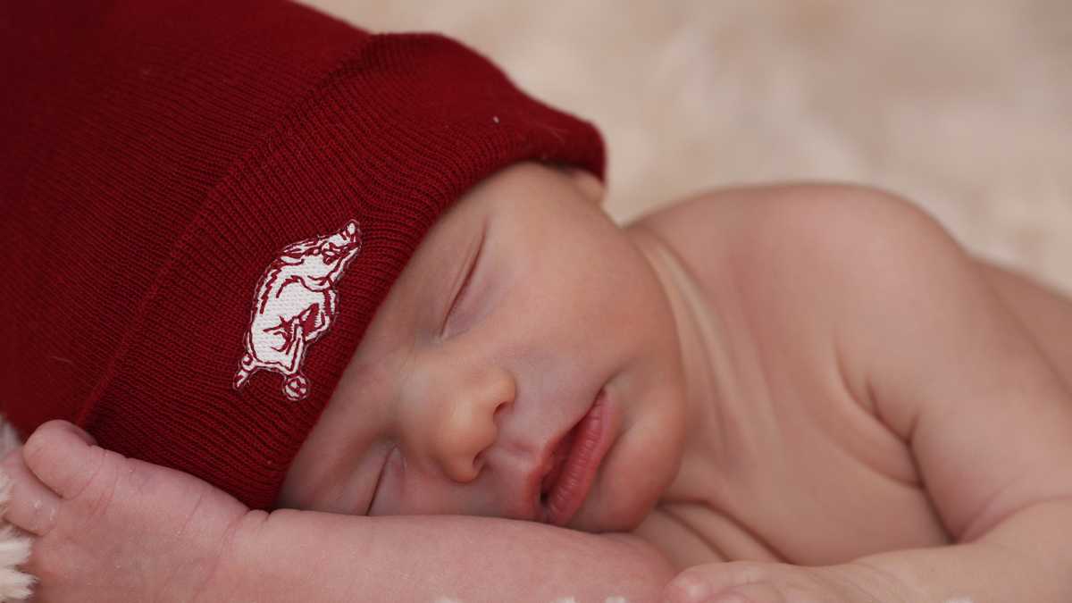 Razorback Fan Photos