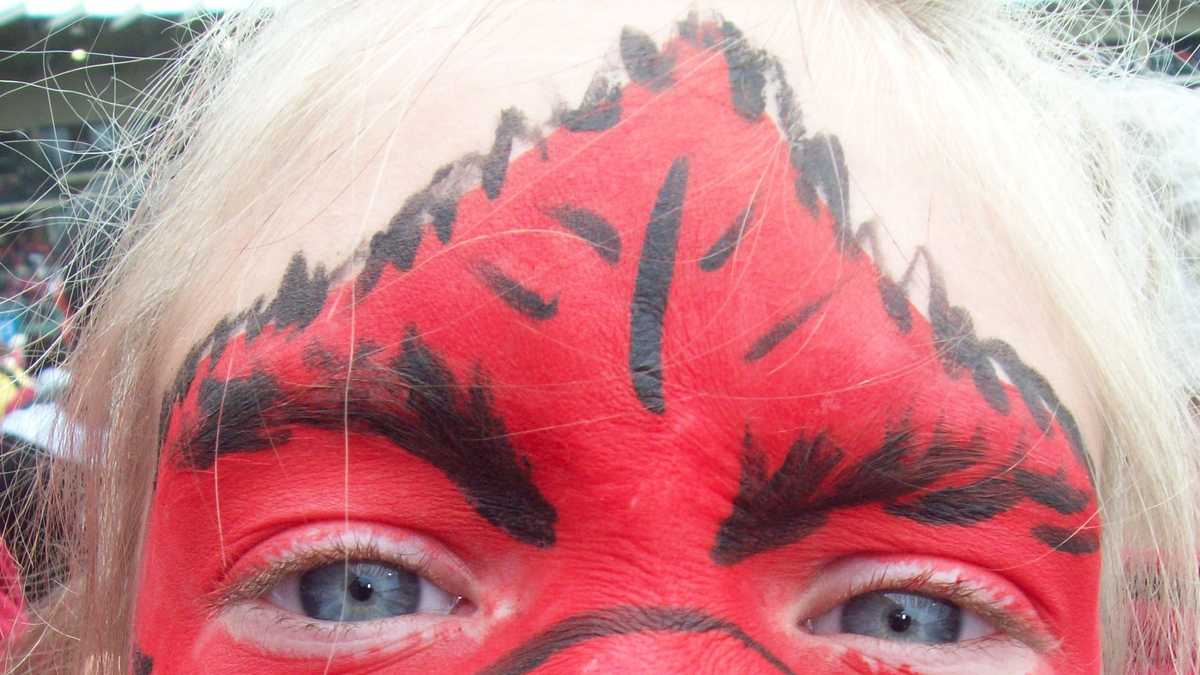 Razorback Fan Photos