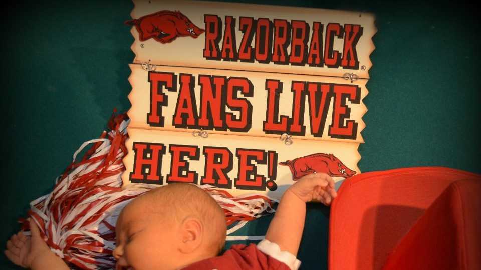 Razorback Fan Photos