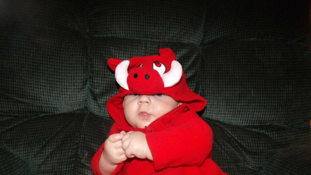 Razorback Fan Photos