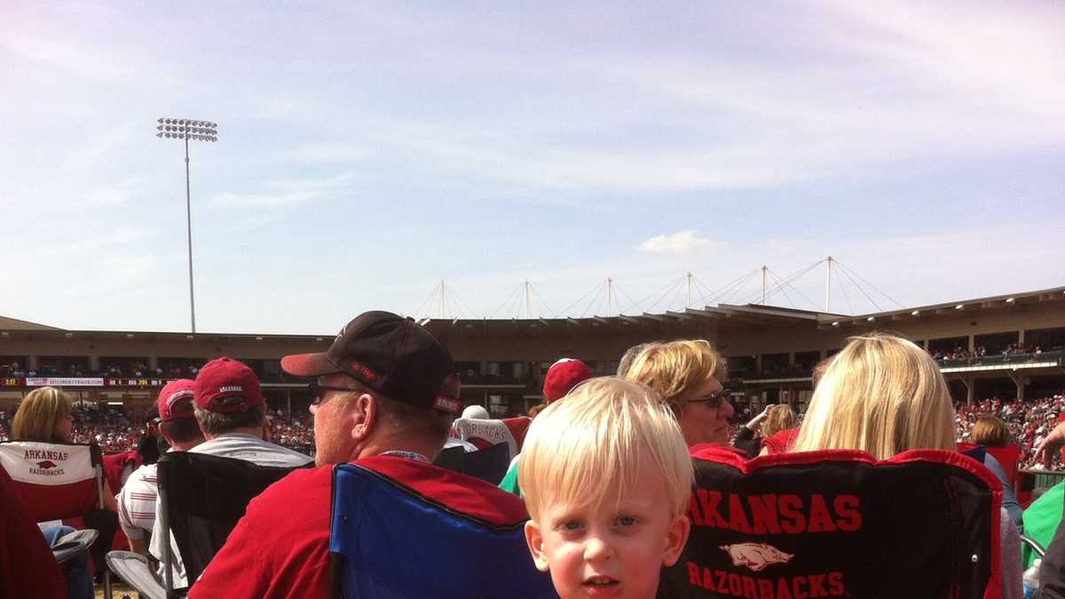 Razorback Fan Photos