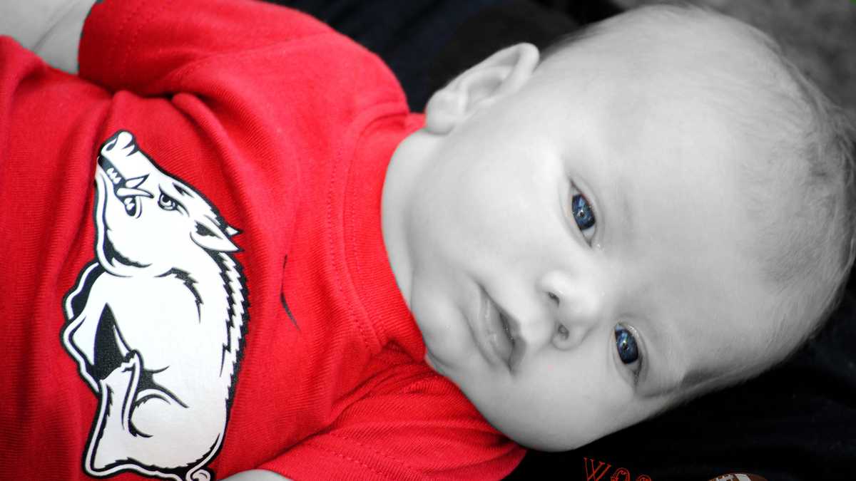 Razorback Fan Photos