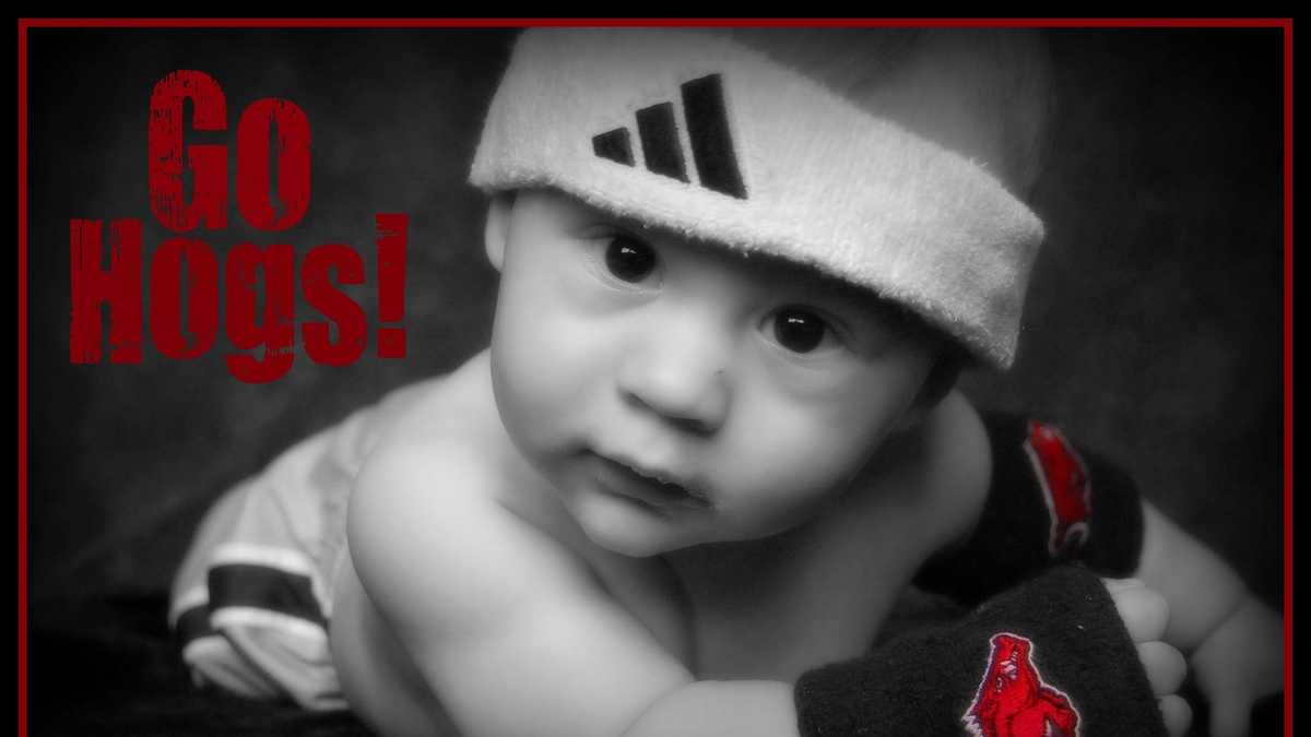 Razorback Fan Photos