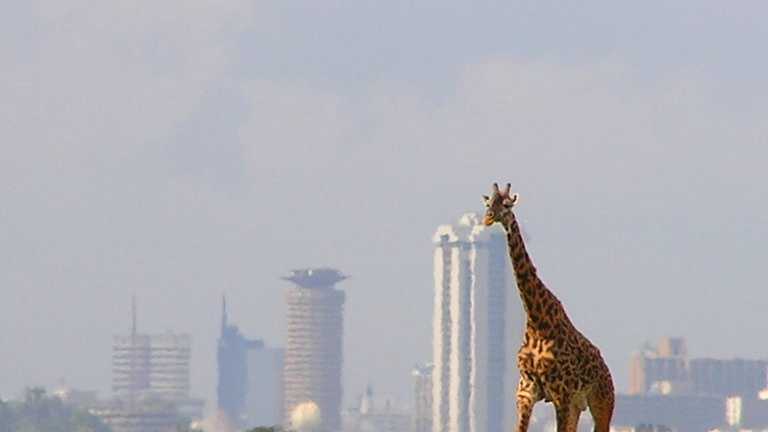 20 Things you may not know about Laura Huckabee