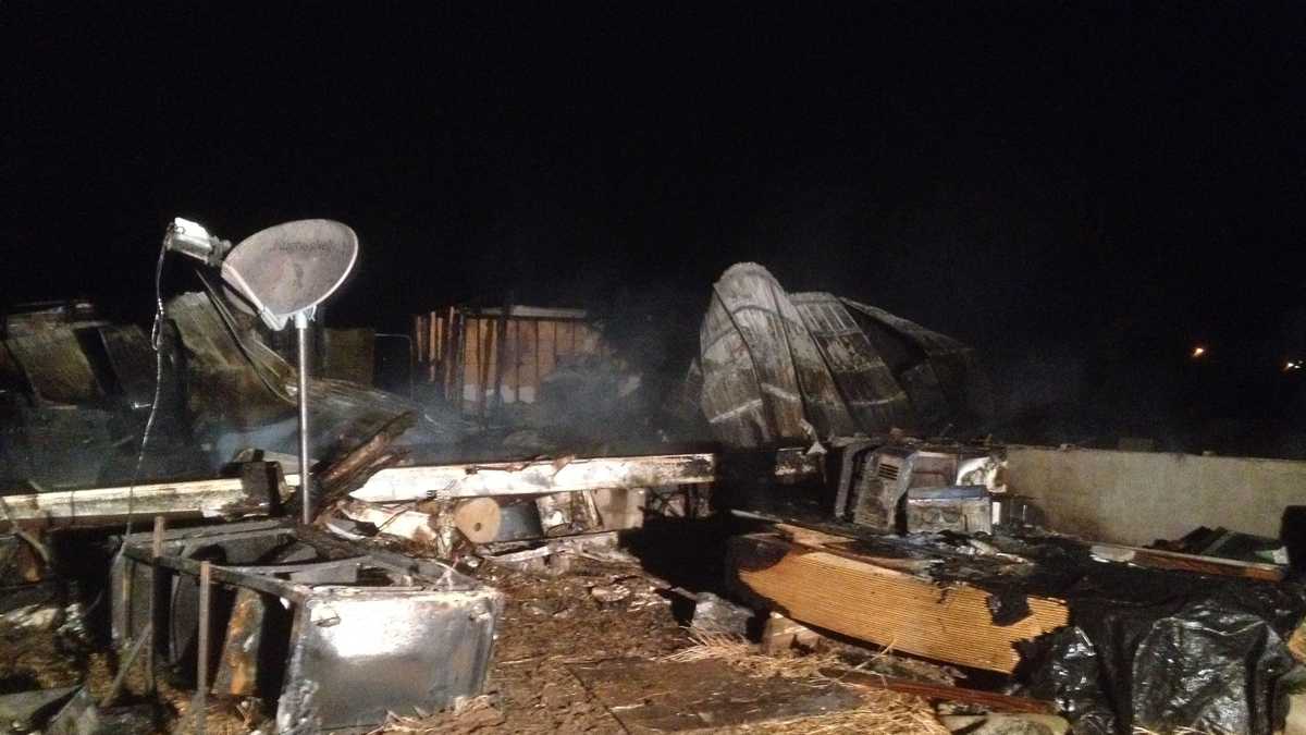 Dog dies in Gentry house fire