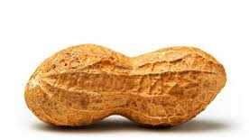 Ark. recognized as peanut-producing state